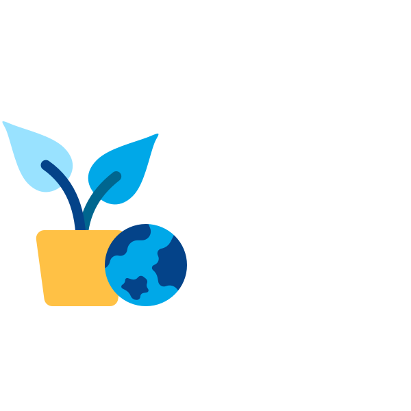 About – DTS Designs